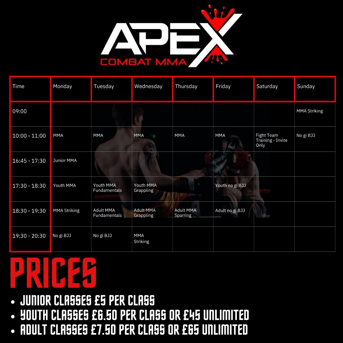 Apex Combat MMA | Premier Martial Arts Training in Sleaford
